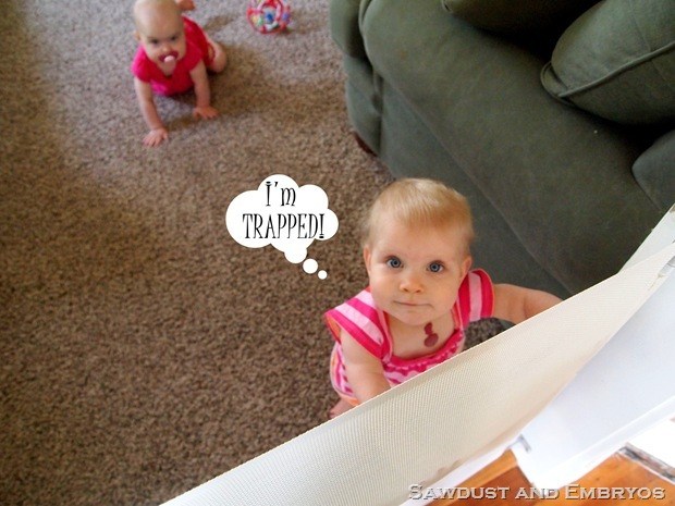 Baby Gate Woes | Reality Daydream