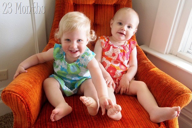 23 Months | Reality Daydream