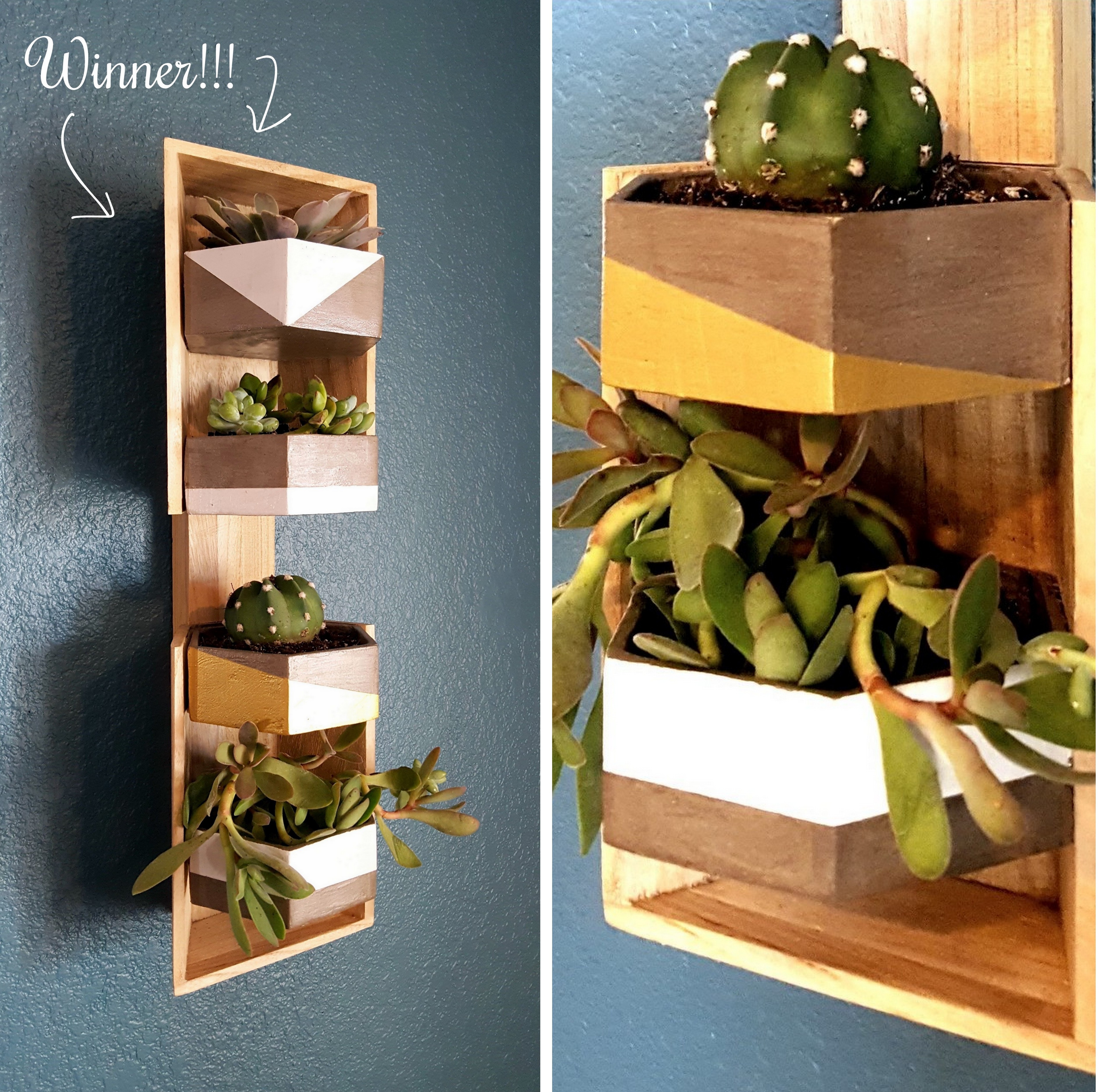 Trinket Box Challenge WINNER! | Reality Daydream