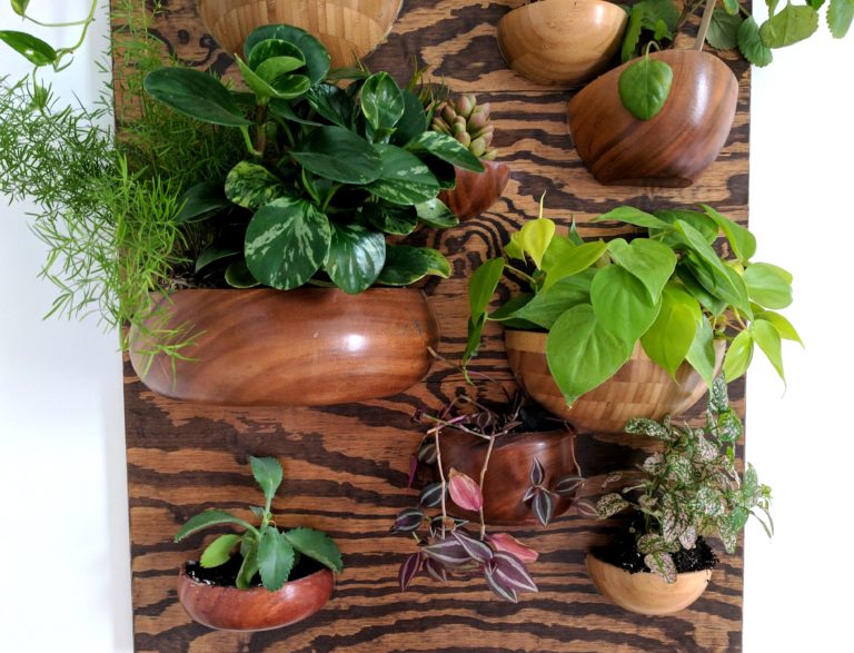 My Personal Plant Hero | Reality Daydream