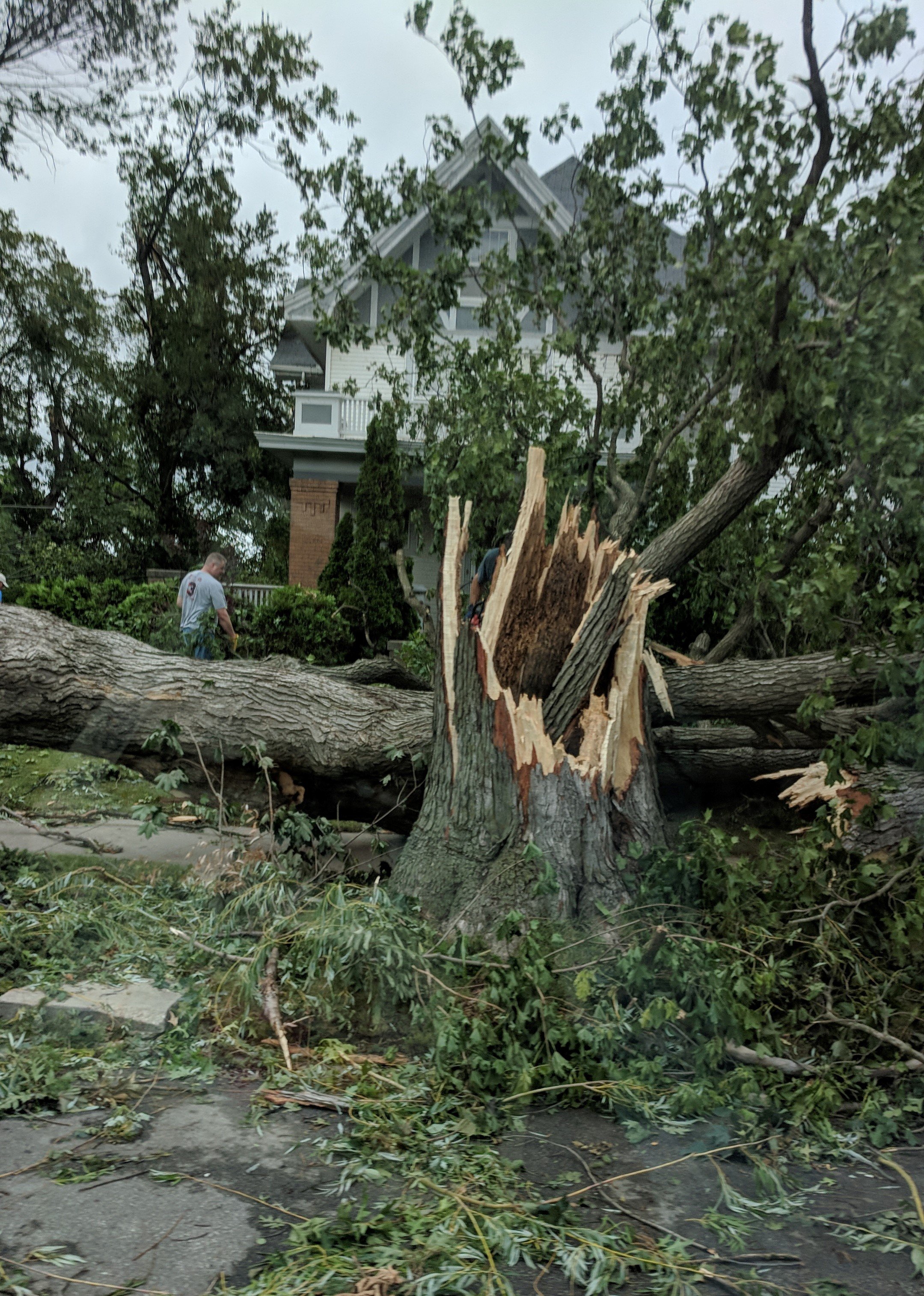 Our Tornado Experience and Emergency Preparedness | Reality Daydream