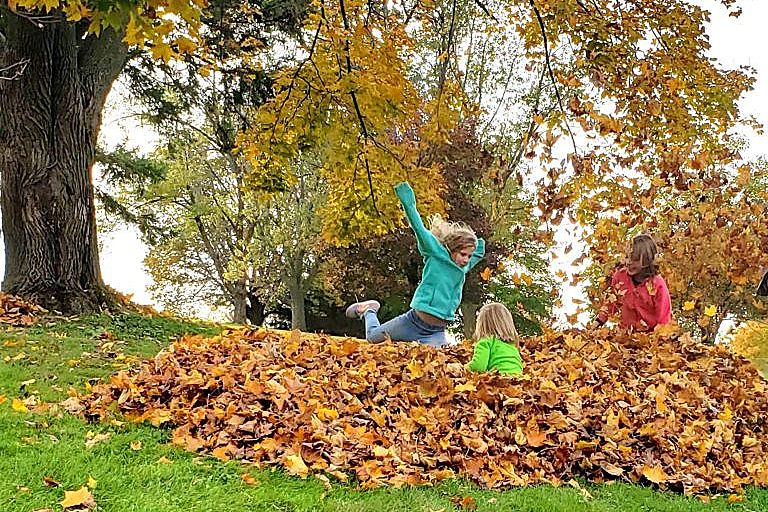 Frolicking in the Fall Leaves | Reality Daydream