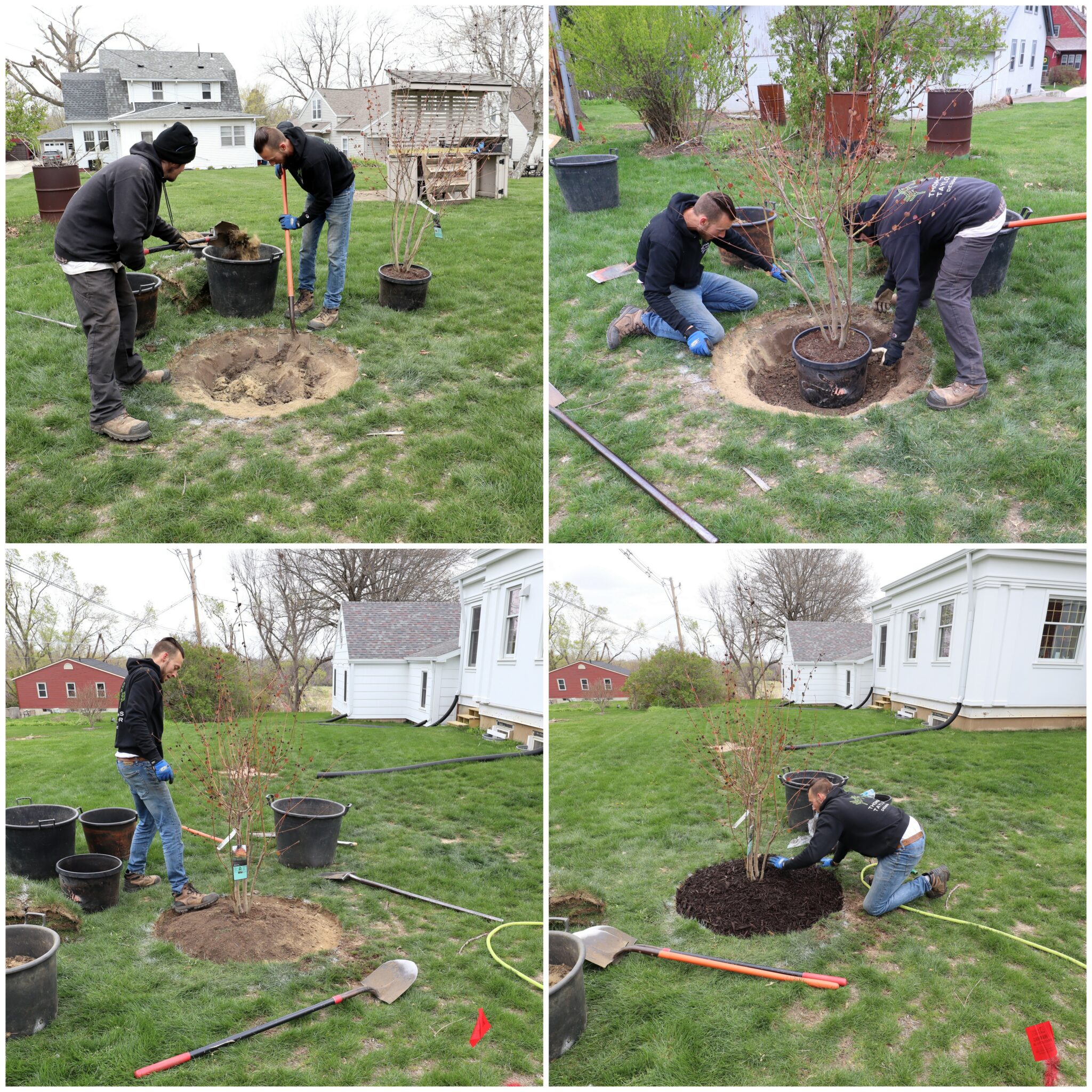 Plant a Tree for Arbor Day! | Reality Daydream