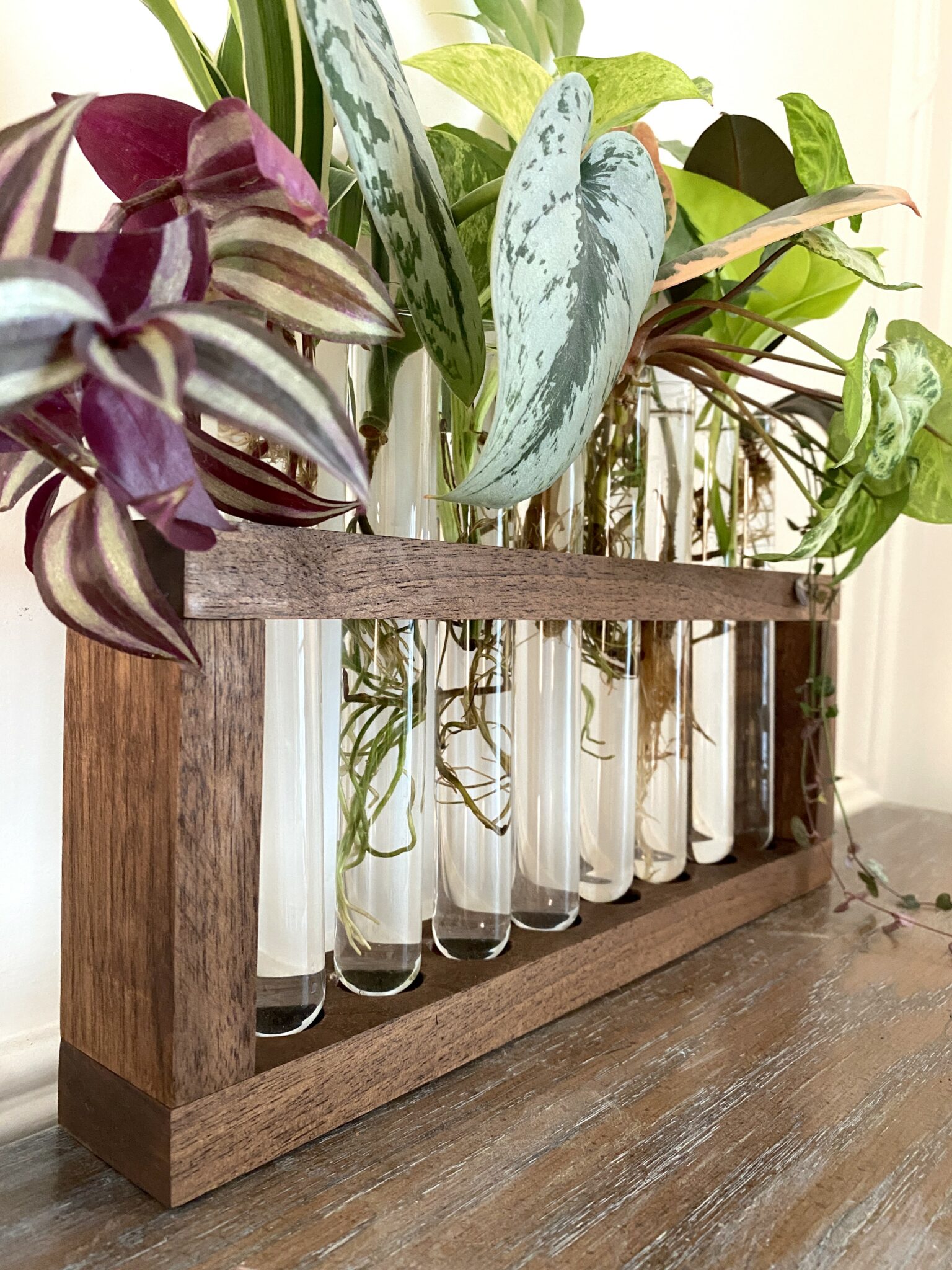 Test Tube Propagation Station Tutorial | Reality Daydream