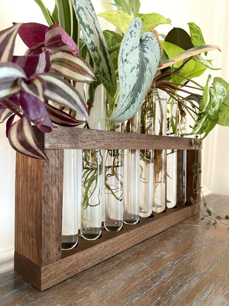 Test Tube Propagation Station Tutorial | Reality Daydream