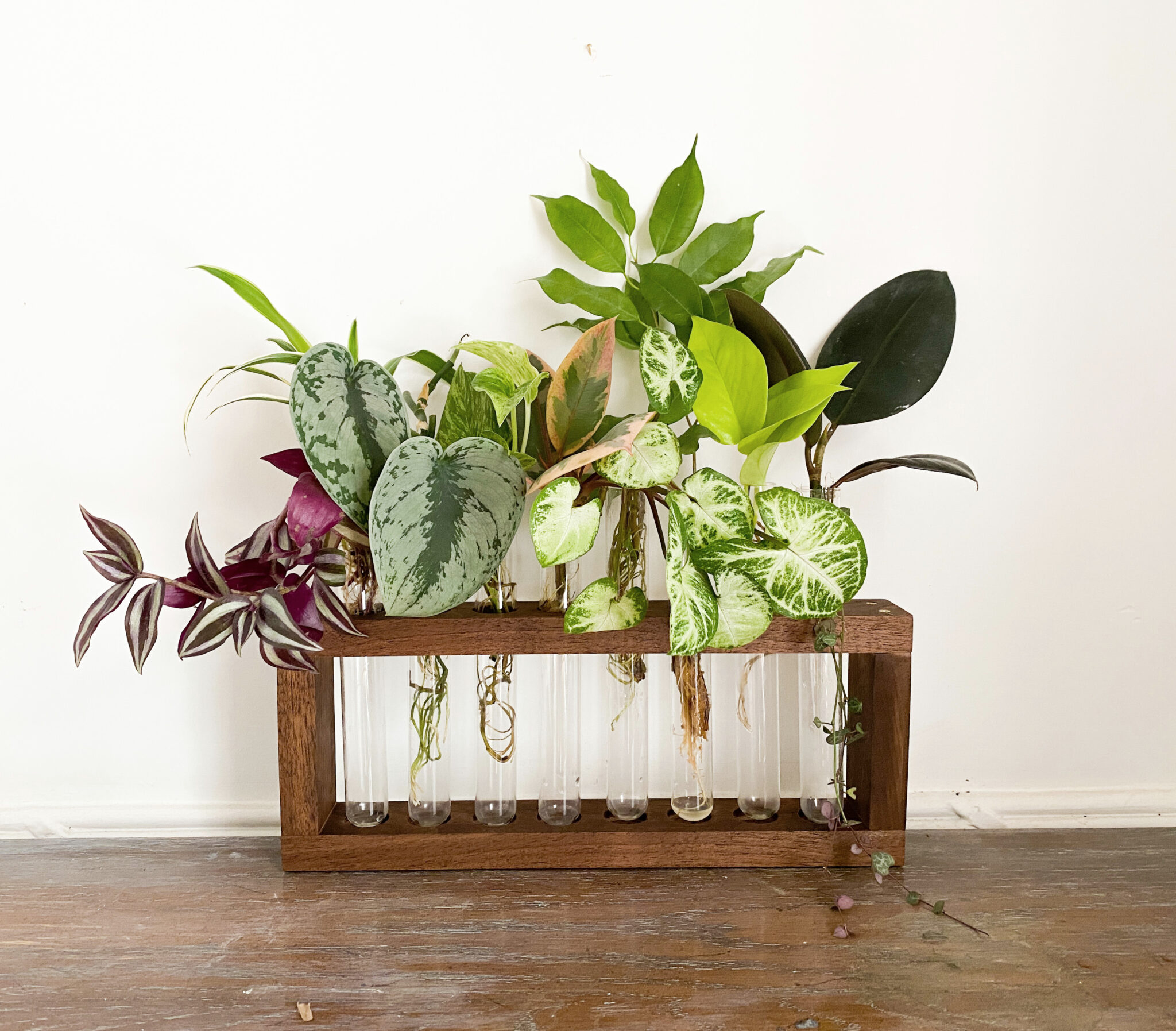 Test Tube Propagation Station Tutorial | Reality Daydream