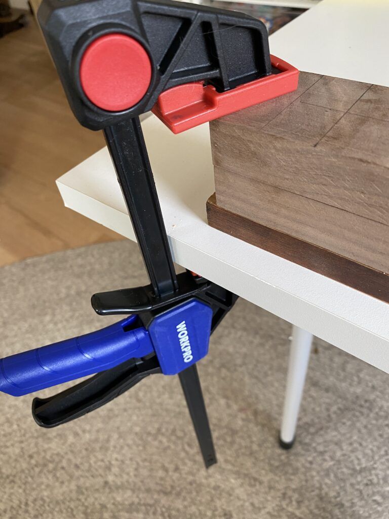 Test Tube Propagation Station Tutorial | Reality Daydream