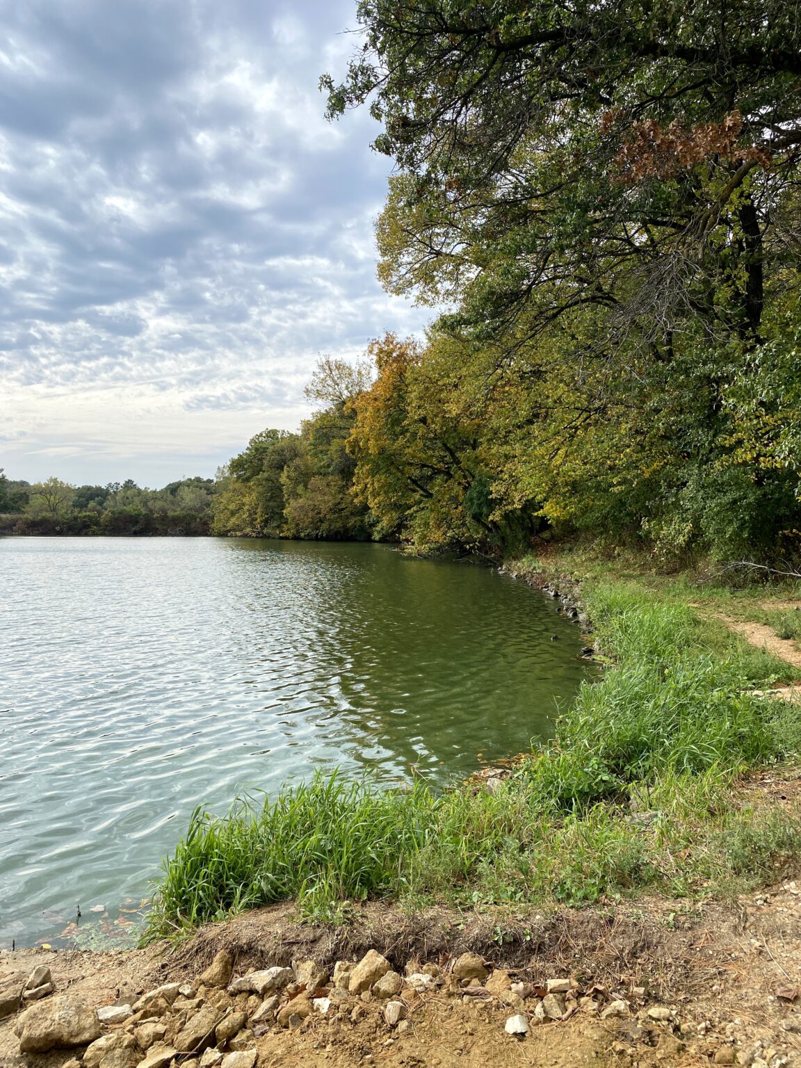 Exploring Pine Lake | Reality Daydream