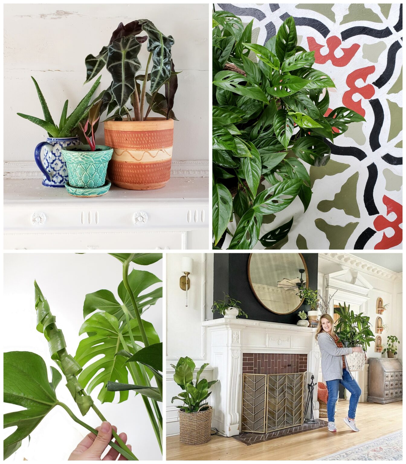 My Personal Plant Hero | Reality Daydream