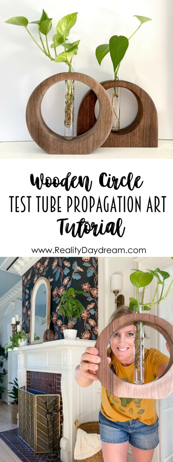 Wooden Circle & Test Tube Propagation Art | Reality Daydream