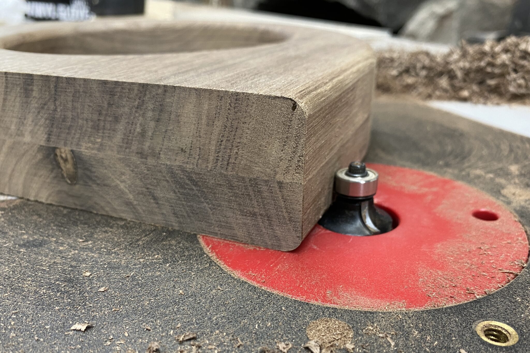 Wooden Circle & Test Tube Propagation Art | Reality Daydream