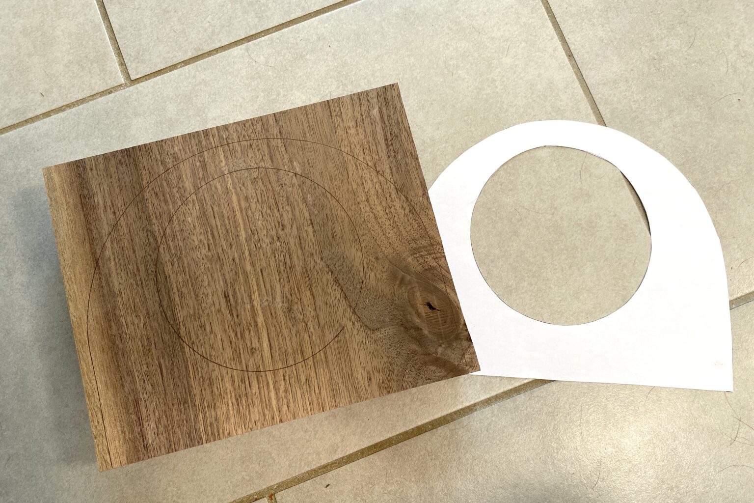 Wooden Circle & Test Tube Propagation Art | Reality Daydream