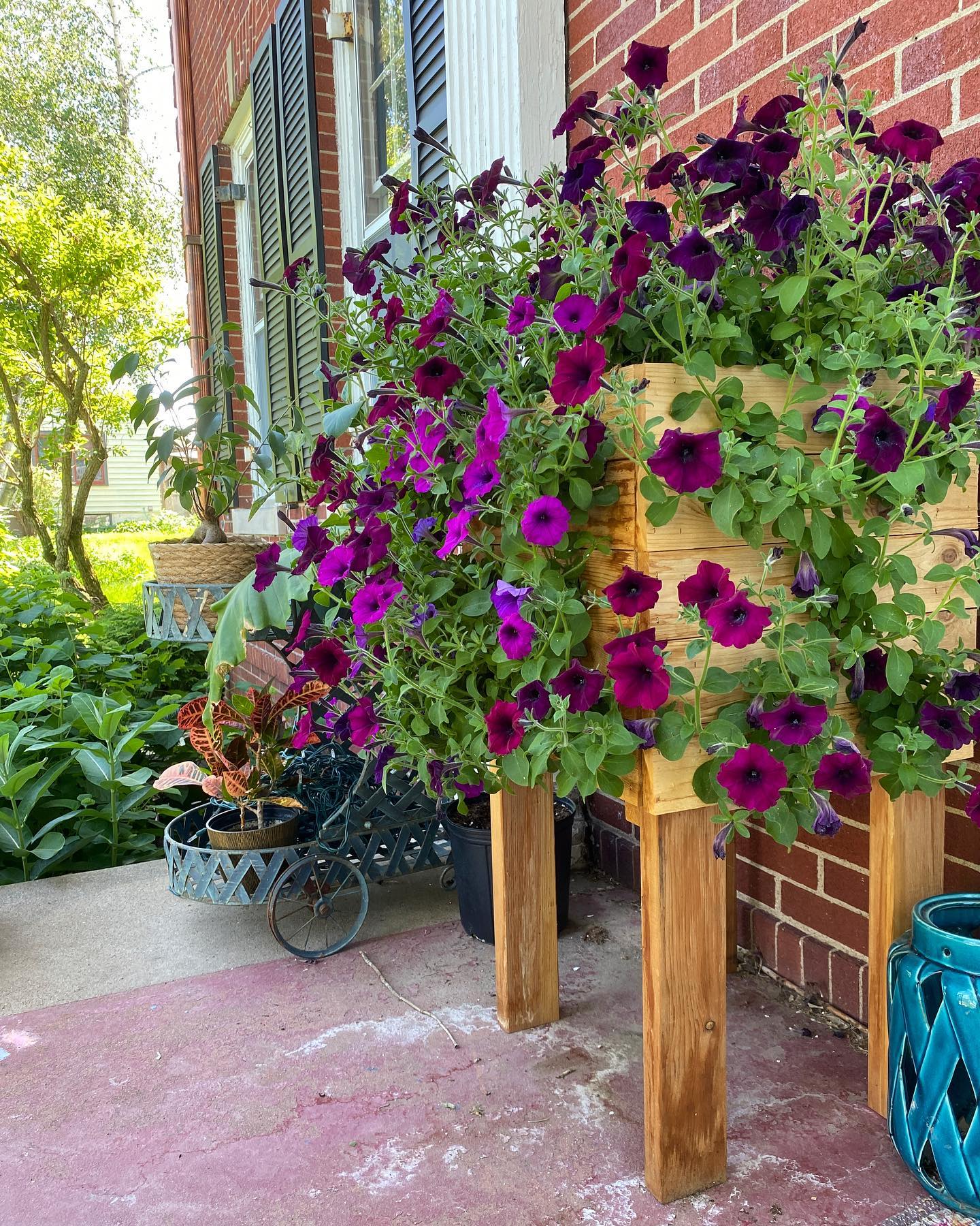 Pair of Cascading Wave Petunia Planters DIY | Reality Daydream