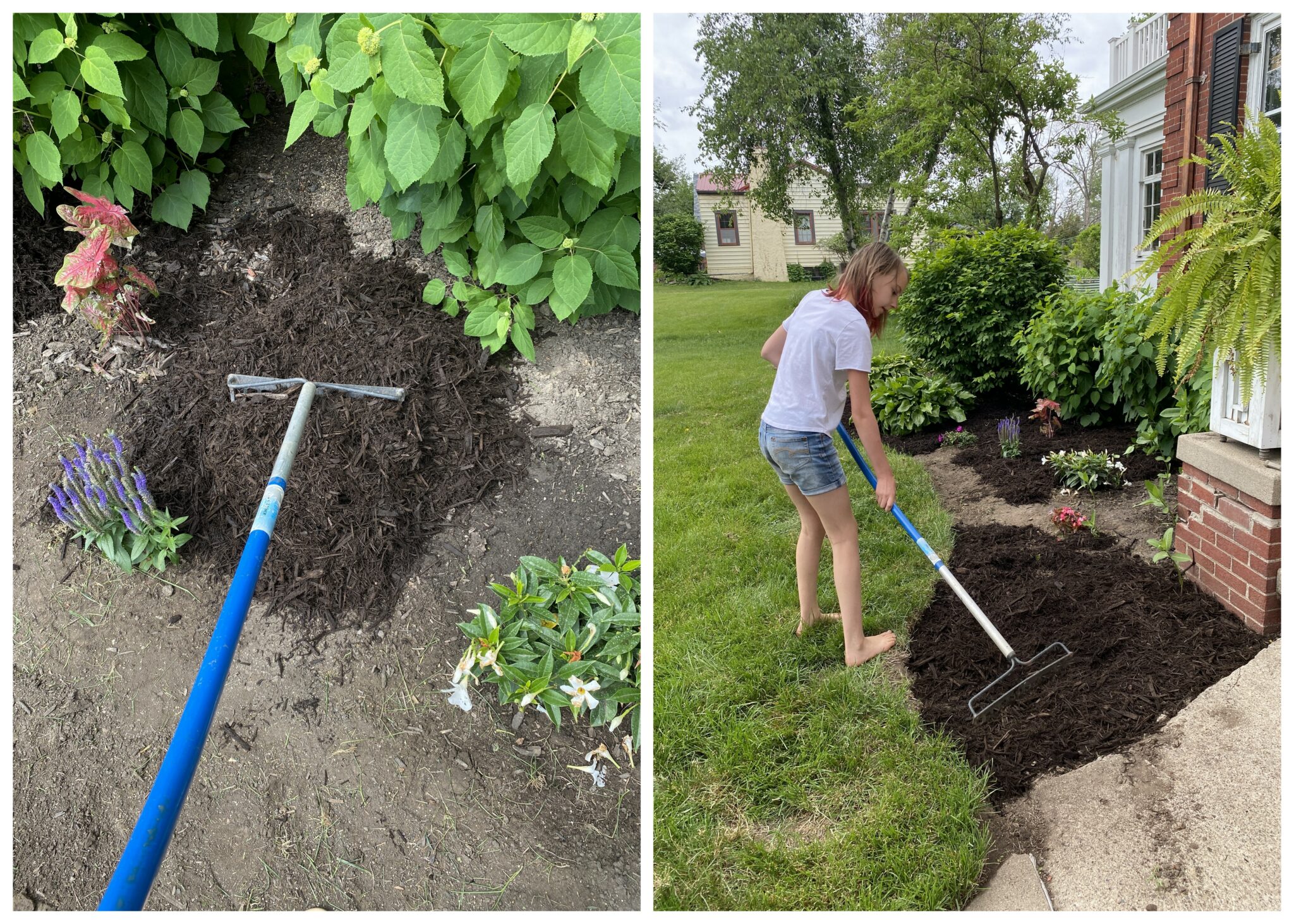 Garden Bed Redefining | Reality Daydream