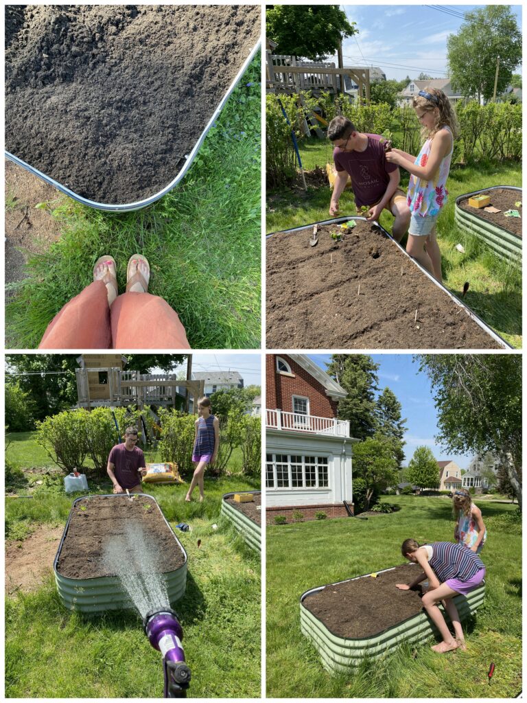 Veggie Garden Update | Reality Daydream