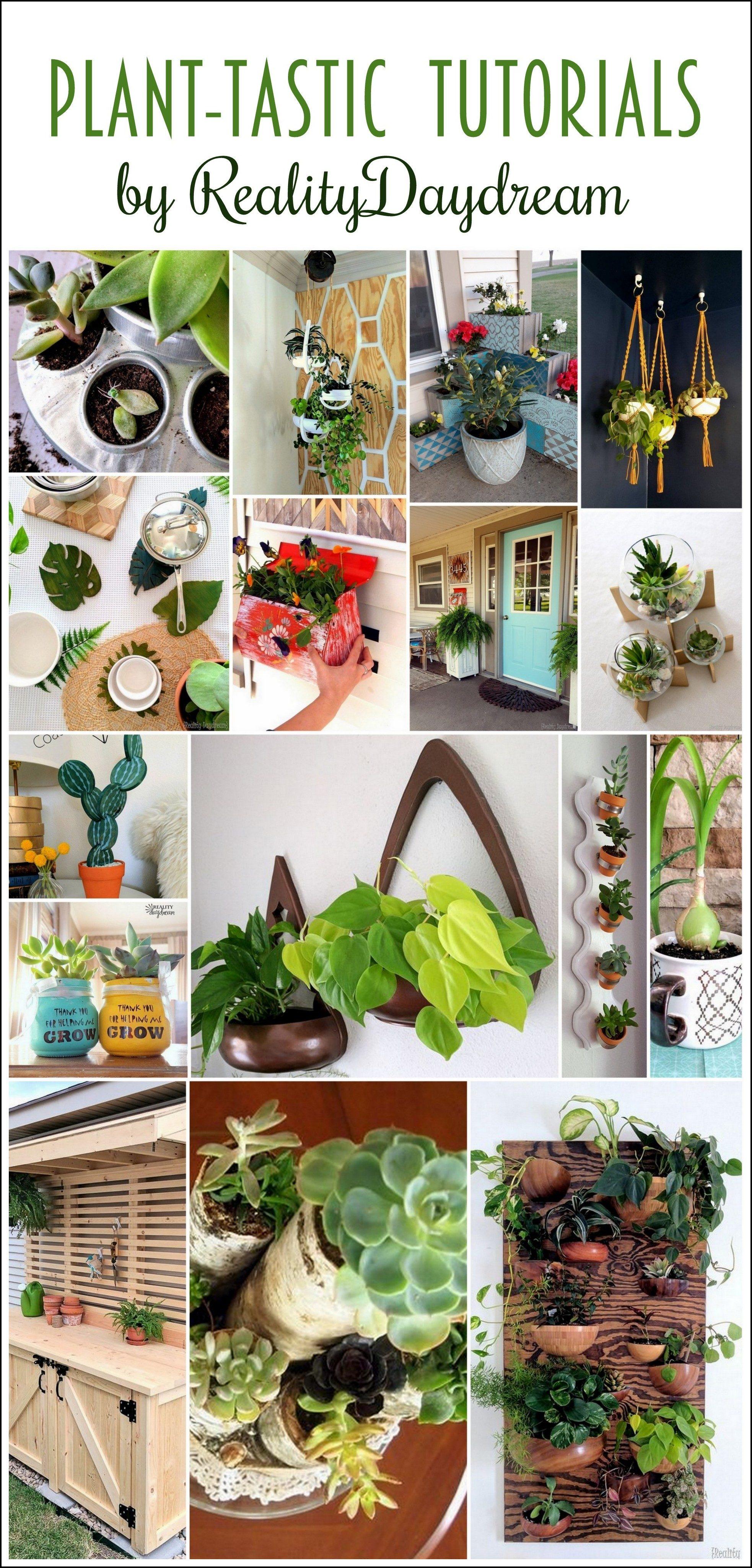 Easy Hanging Planter Tutorial | Reality Daydream