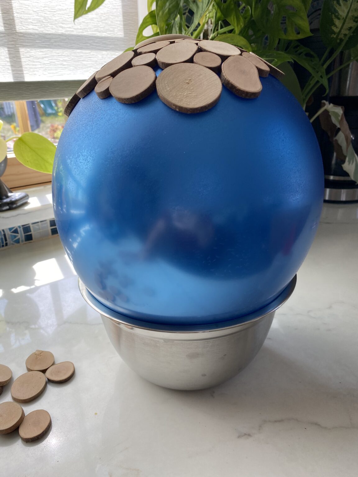 Wood Slice Pendant Light