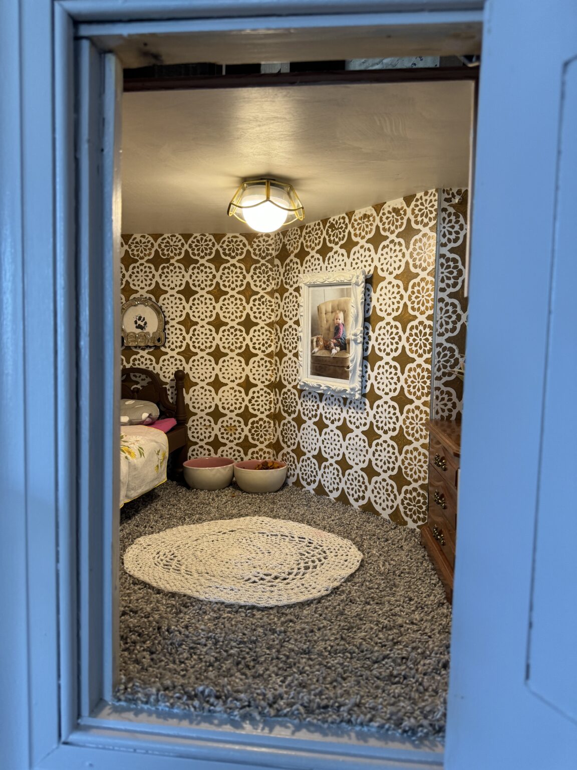 Secret Cat House in the Laundry Chute | Reality Daydream